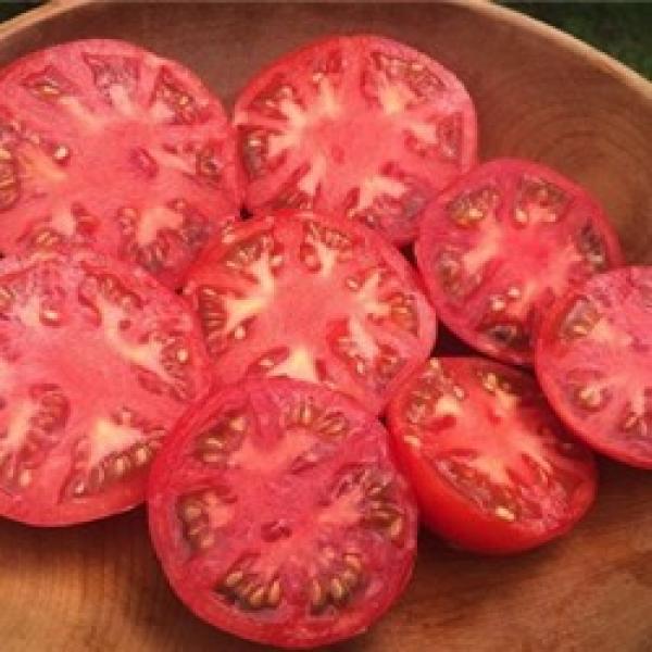 Tomato, Heirloom - Alpha | Friends School Plant Sale