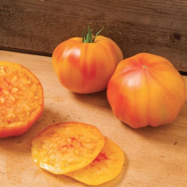 Tomato, Other - Margold | Friends School Plant Sale